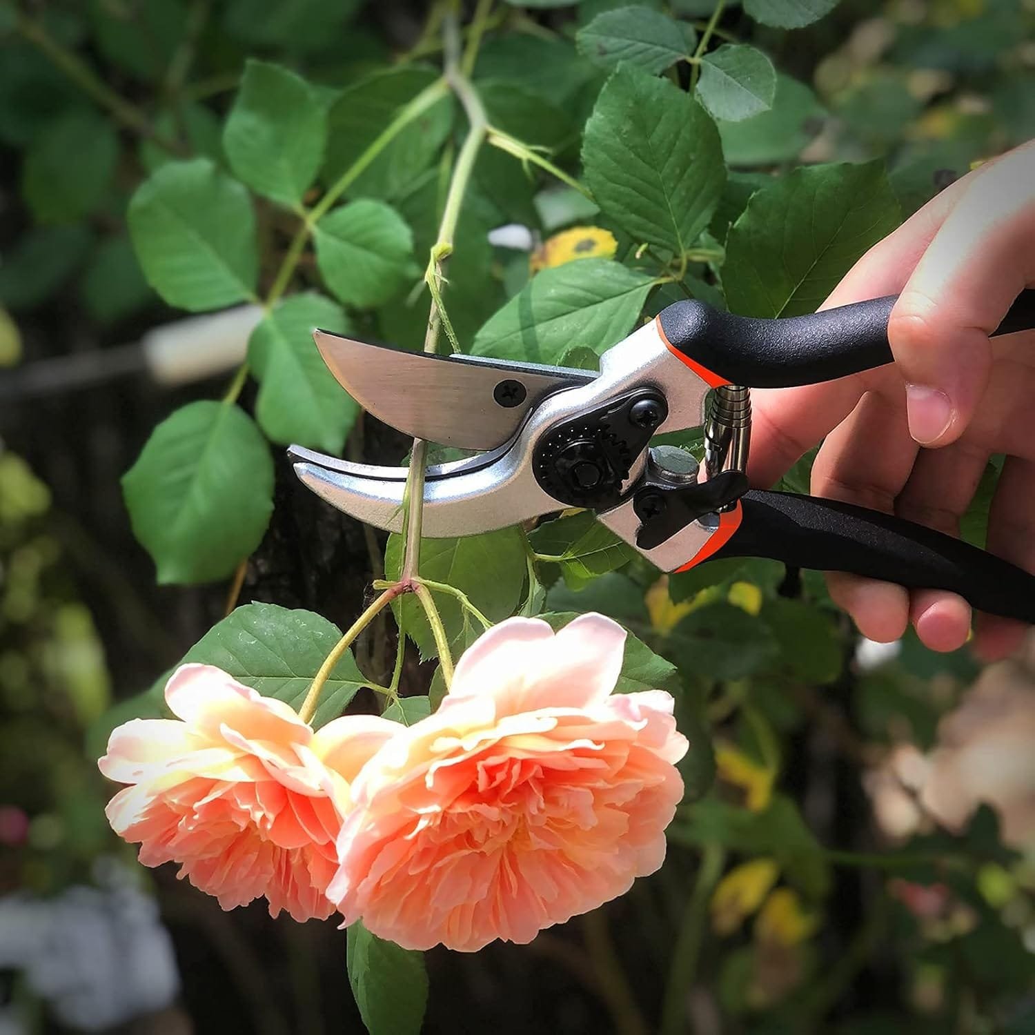 What Are Garden Shears and How Do They Impact Your Gardening Experience? - Leading Hand Tool ...